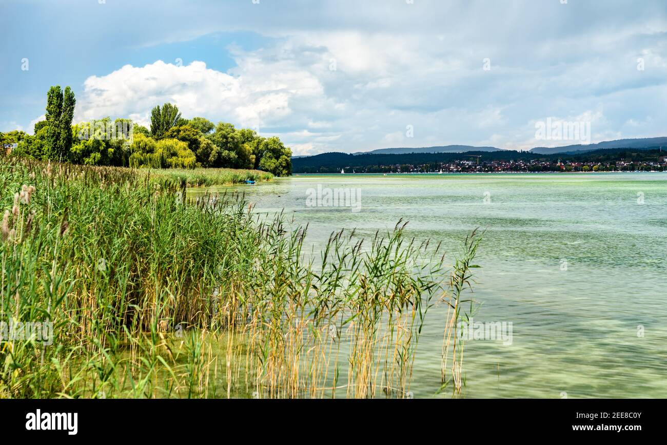 View of Lake Constance from Reichenau Island in Germany Stock Photo - Alamy