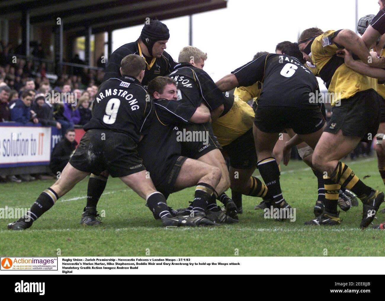 Doddie hi-res stock photography and images - Alamy