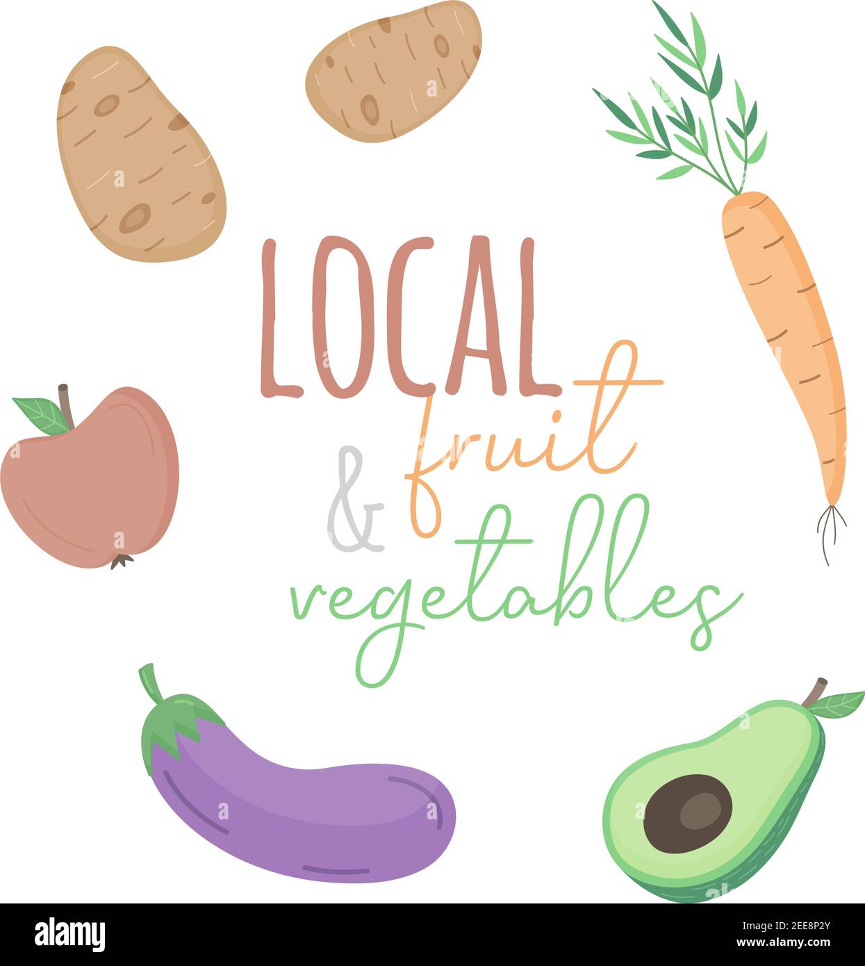 Local fruit and vegetables vector illustration. Hand drawn carrot ...