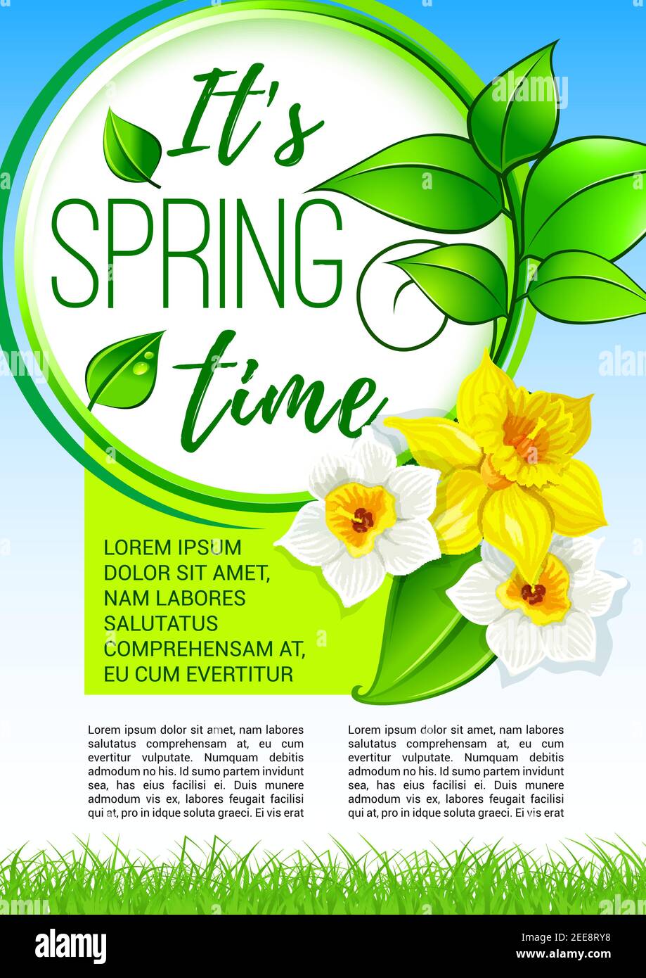 Spring flowers poster for springtime holiday greetings design. Vector ...