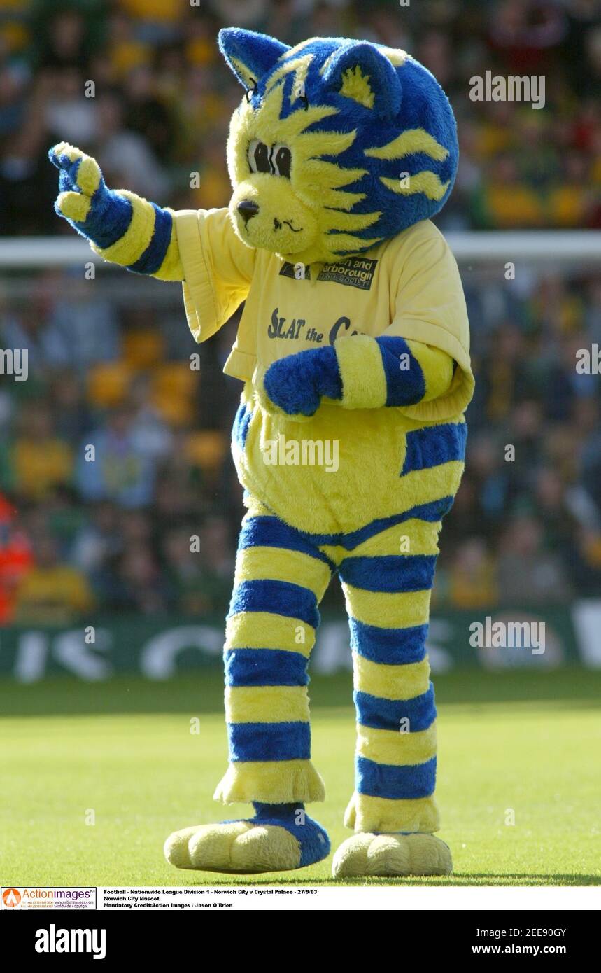 Norwich City Mascot High Resolution Stock Photography and Images - Alamy
