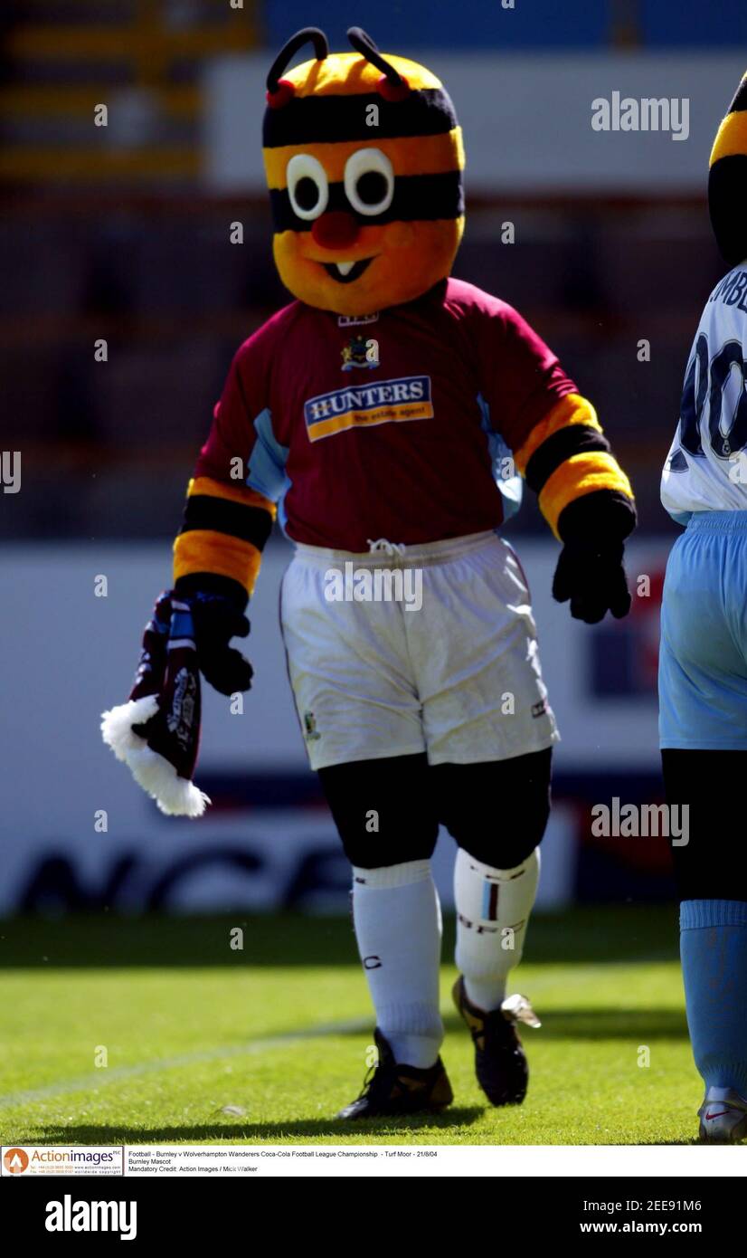 Burnley Mascot High Resolution Stock Photography and Images - Alamy
