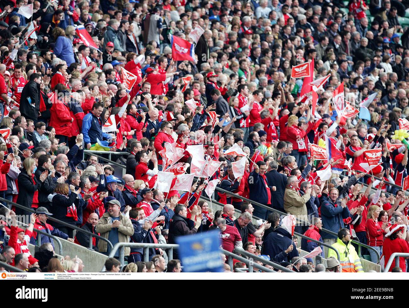 Fans of Scarlets rugby team, Llanelli, West Wales