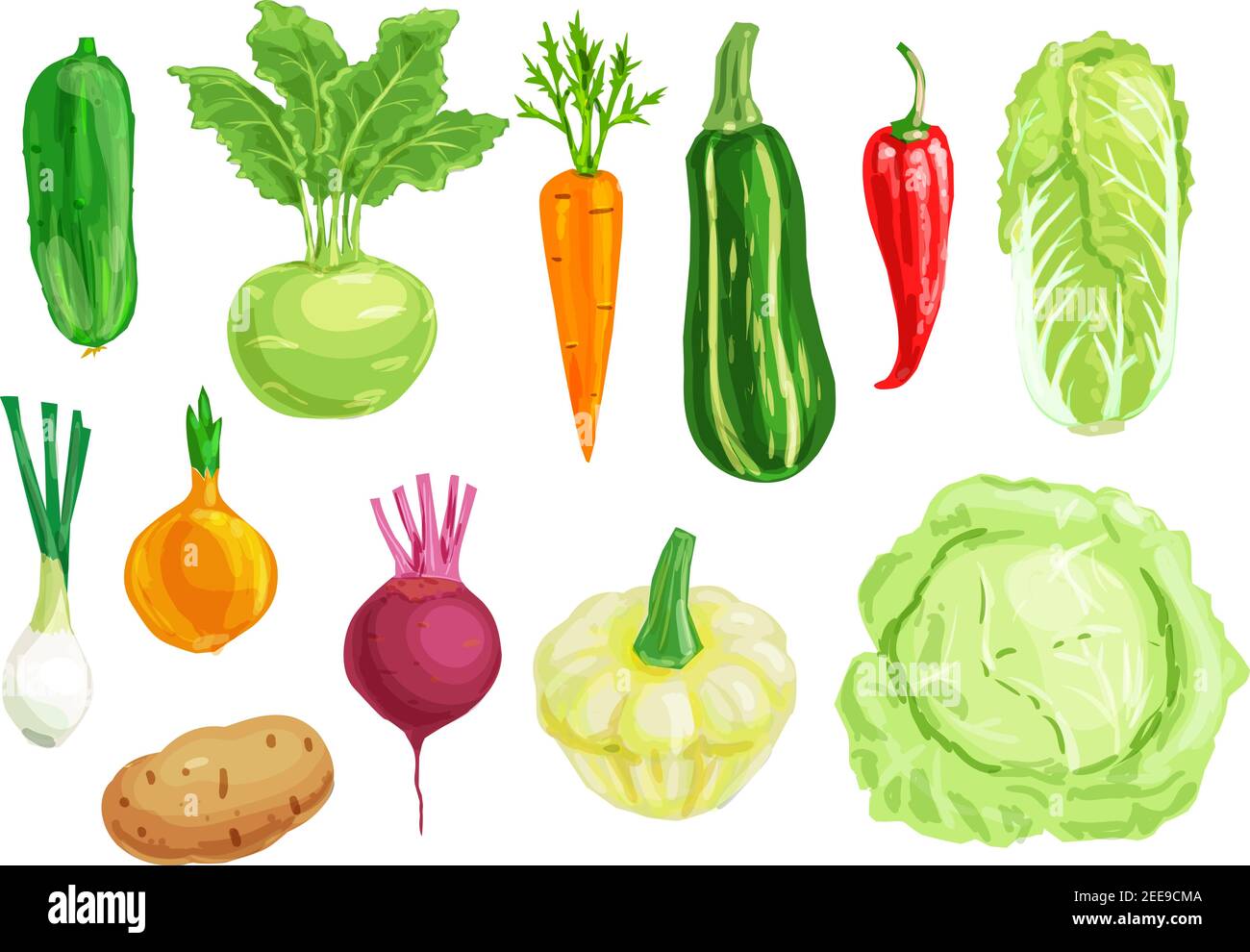 Organic vegetable watercolor illustration of carrot, pepper, cabbage ...
