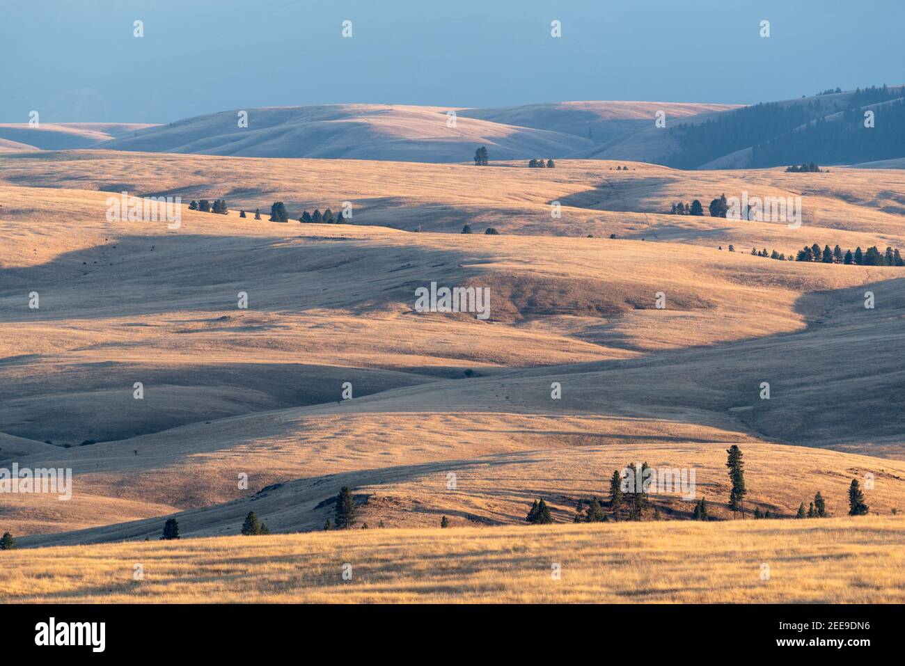 Rolling grassland hi-res stock photography and images - Alamy