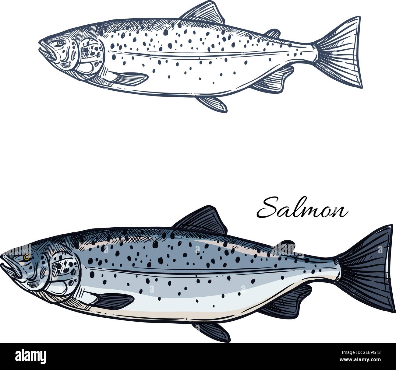 Fis emblem Stock Vector Images - Alamy