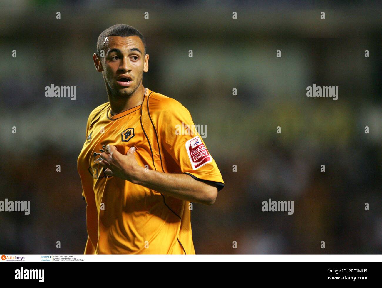 Wolverhampton wolves hi-res stock photography and images - Alamy