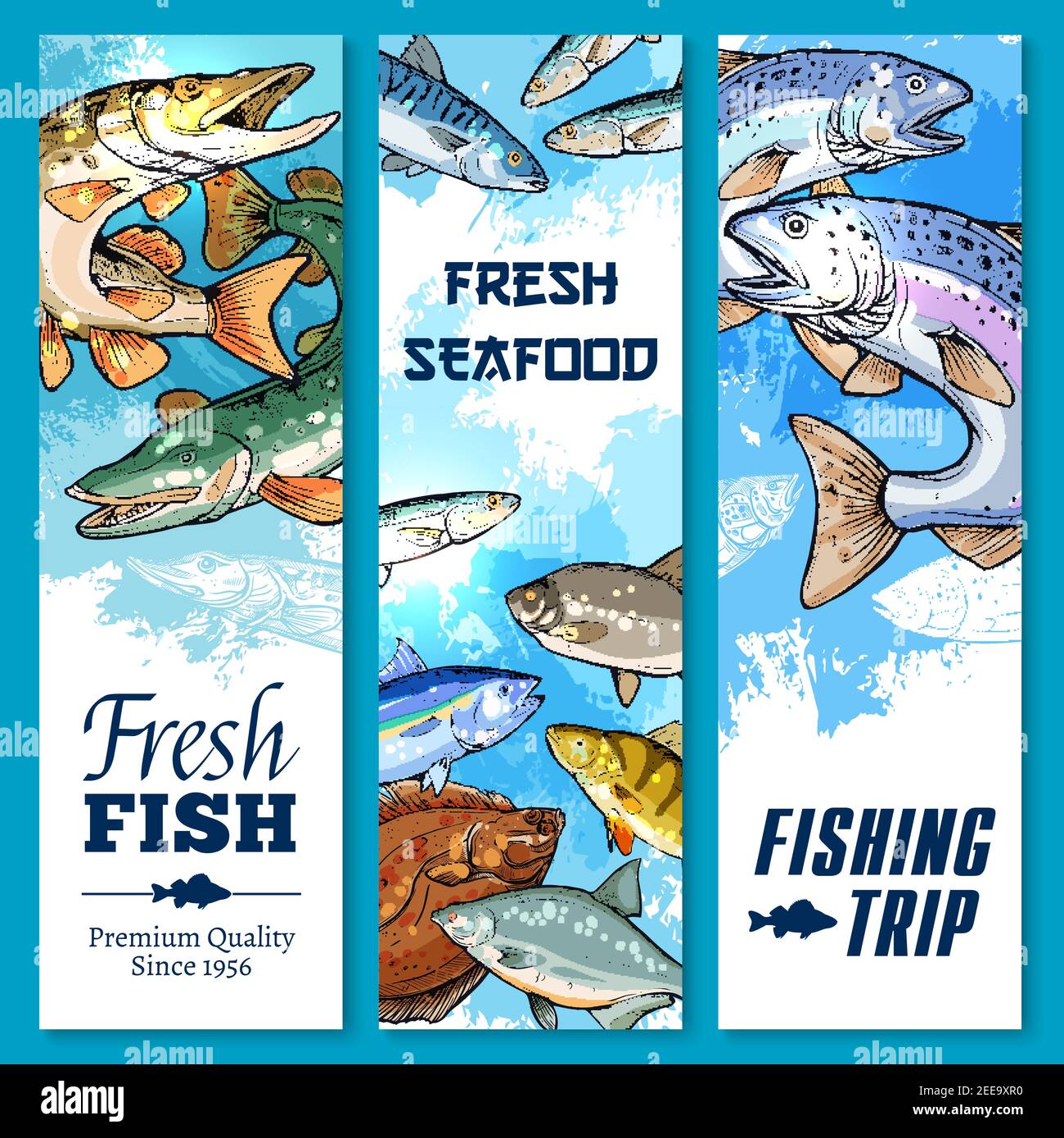 Pink perch fish Stock Vector Images - Alamy