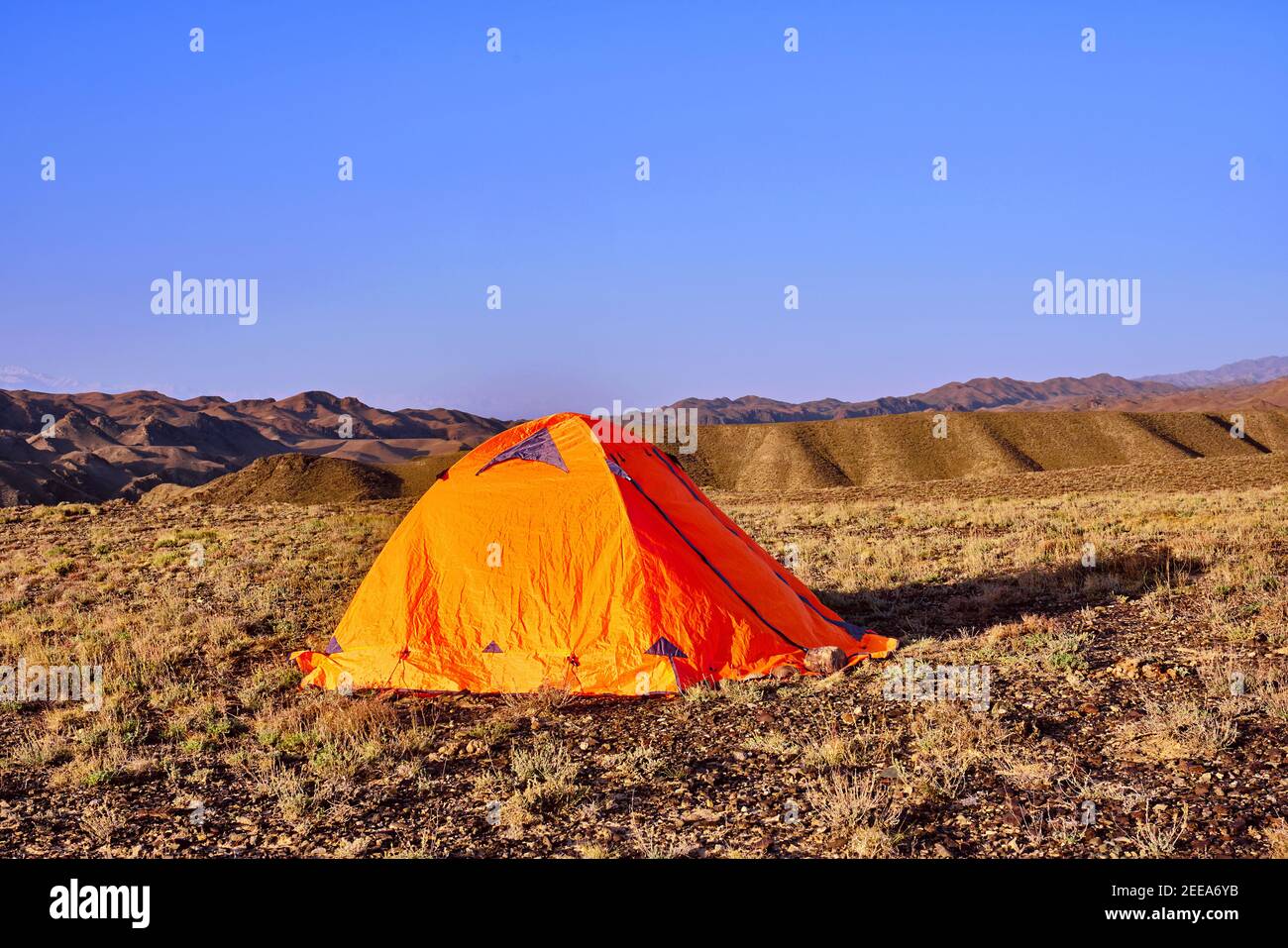 Rocky steppe hi-res stock photography and images - Alamy