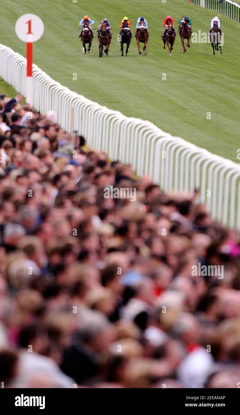 Haydock park races hi-res stock photography and images - Alamy