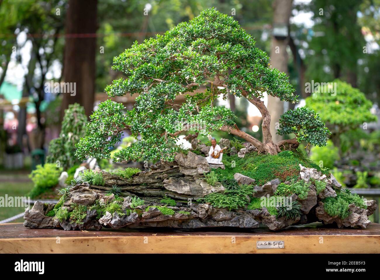 HCM City, Vietnam - February 14, 2021: Bonsai pots displayed at a ...