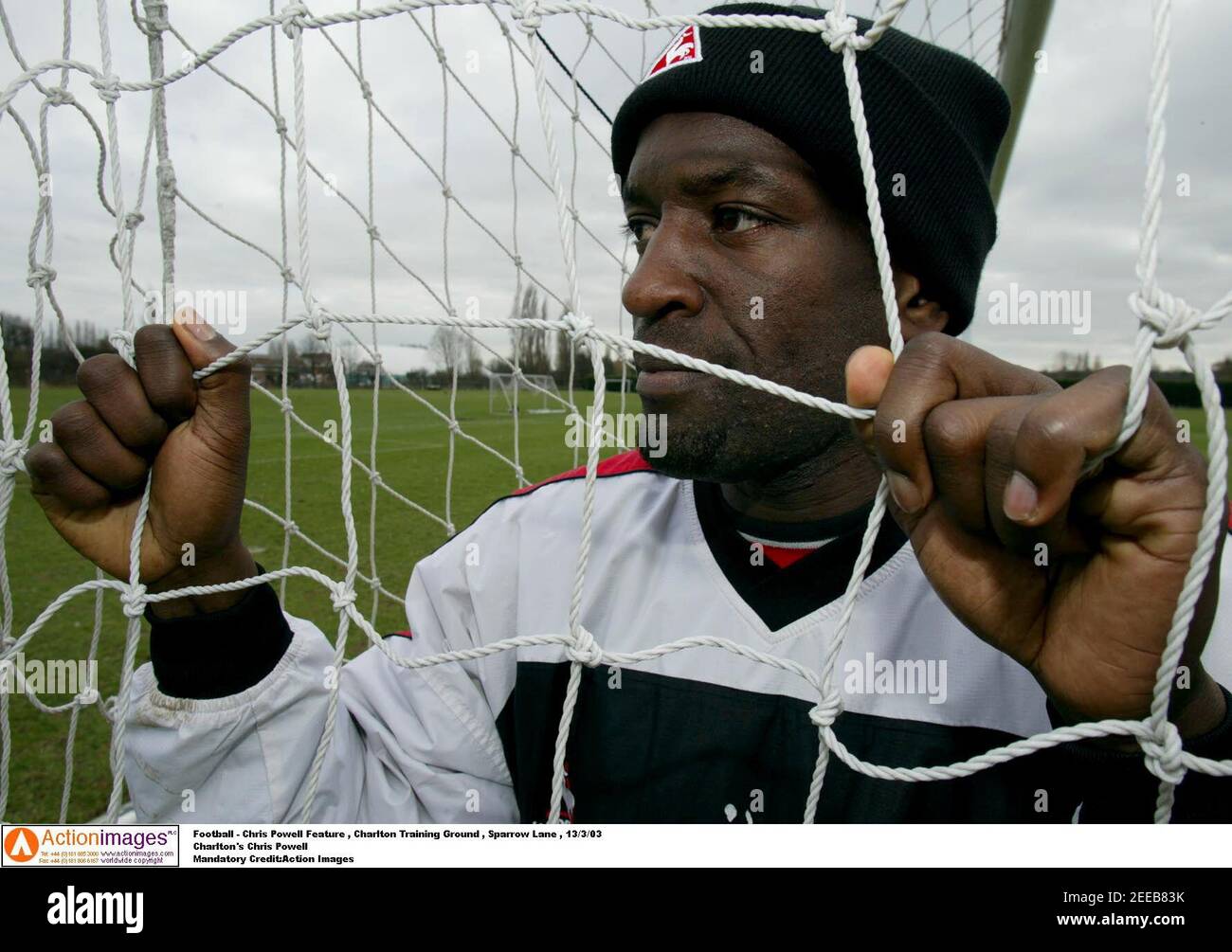 Ground sparrow hi-res stock photography and images - Alamy