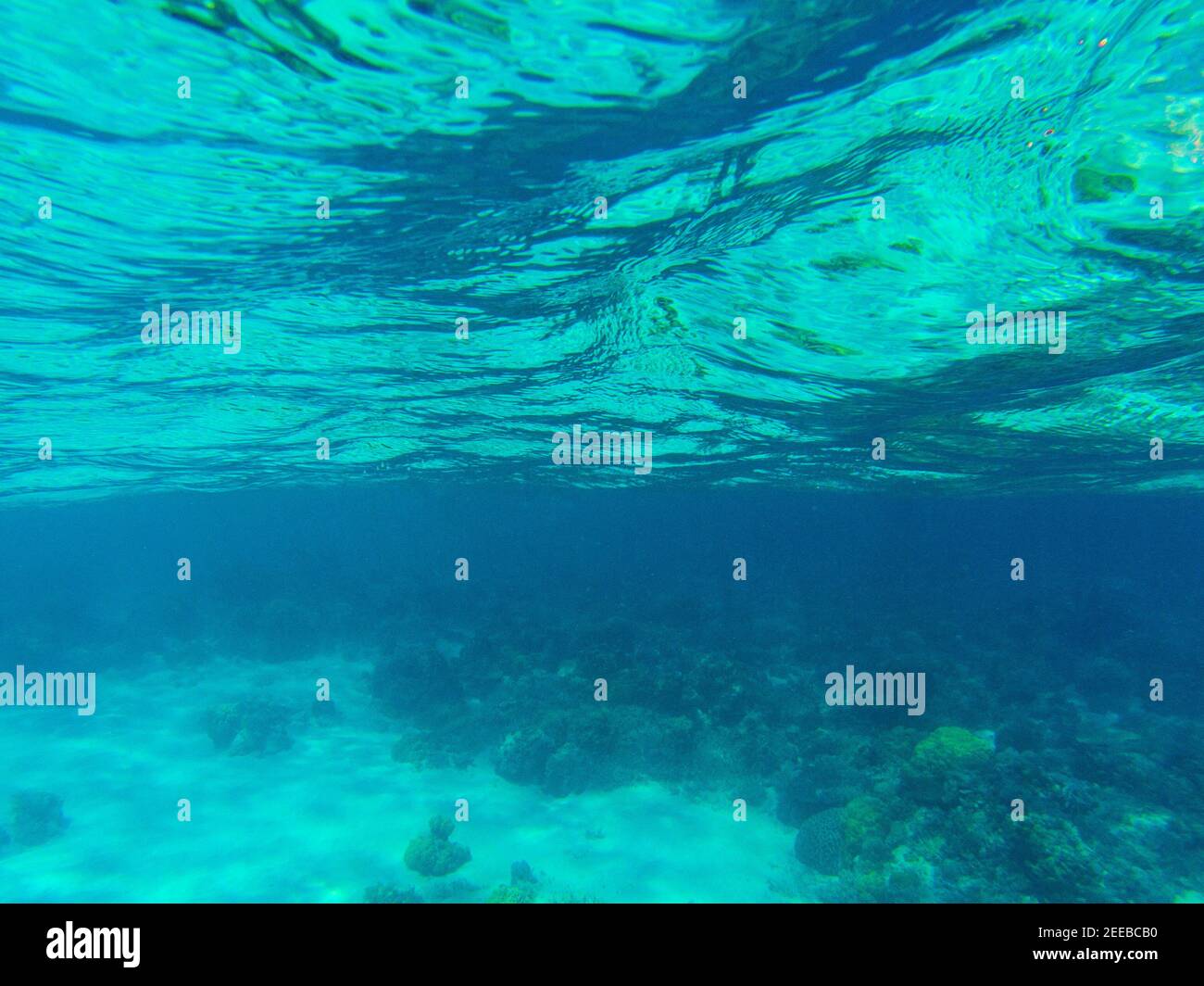 Tropical sea water landscape with coral reef and rippled surface ...