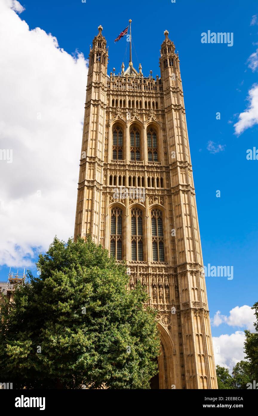 Palace of Westminster (Houses of Parliament) and tree front side in ...