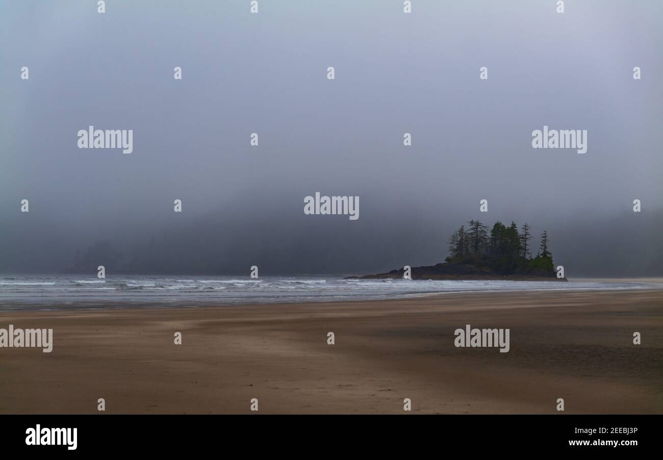 An amazing pristine beach on the northern tip of Vancouver Island, San ...