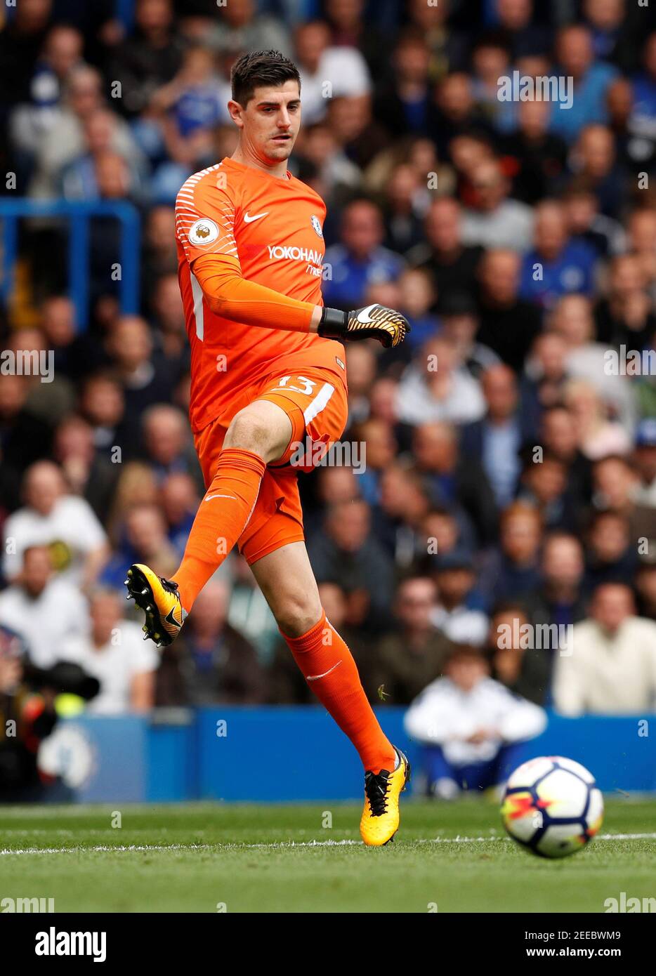 Chelseas thibaut courtois premier league match stamford bridge hi-res ...