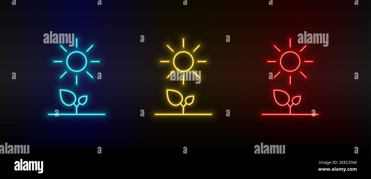 Neon icon set plants, sun, eco. Set of red, blue, yellow neon vector ...