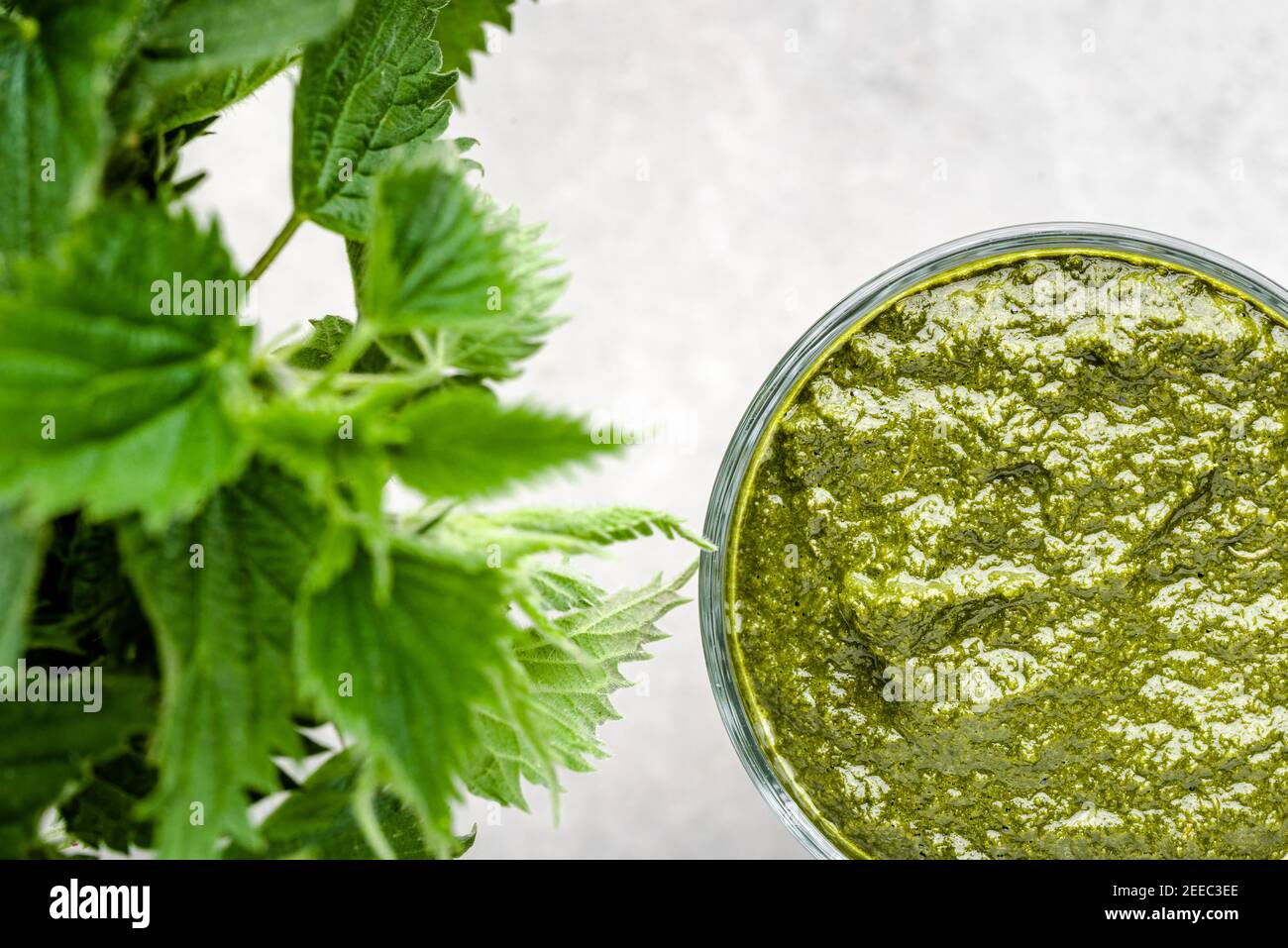 Healthy smoothie with green leaves of nettle in jar on white background ...