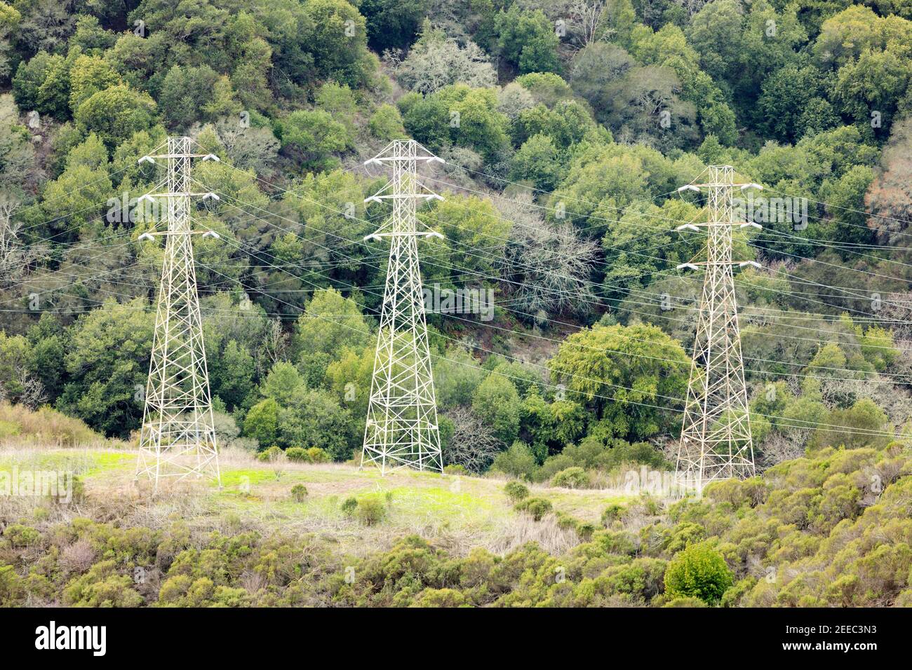 California utility poles and power lines hi-res stock photography and ...