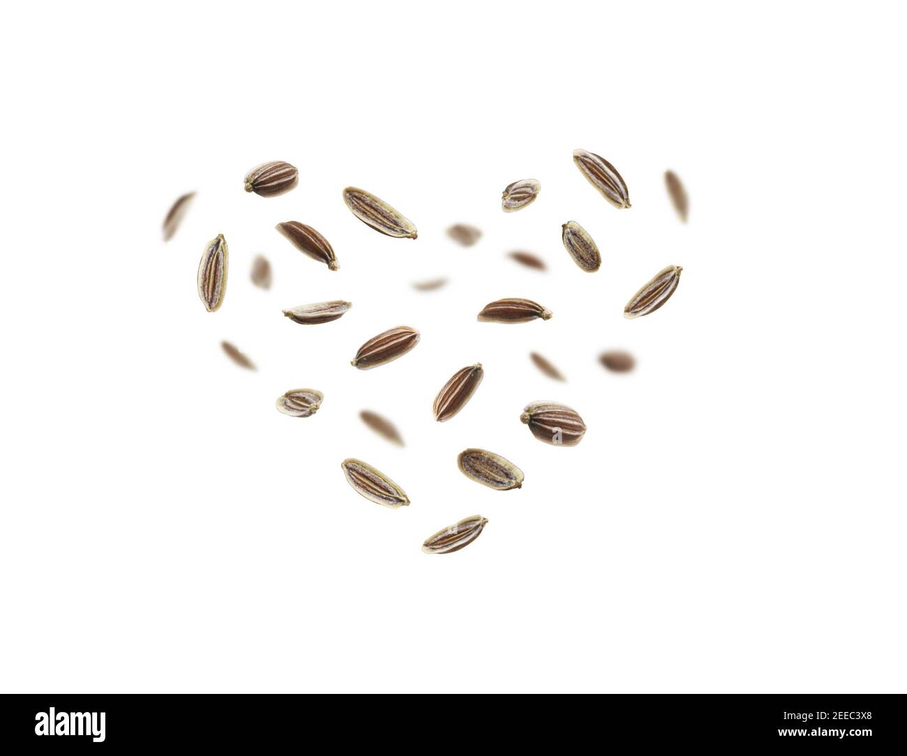 Dill seeds in the shape of a heart on a white background Stock Photo ...