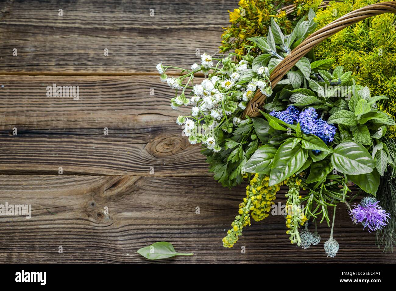 Various herbs from the garden on wooden table. Fresh herb bunch Stock ...