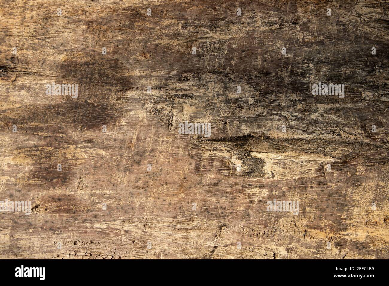 Warm wooden table texture flat lay photo. Timber board with weathered ...