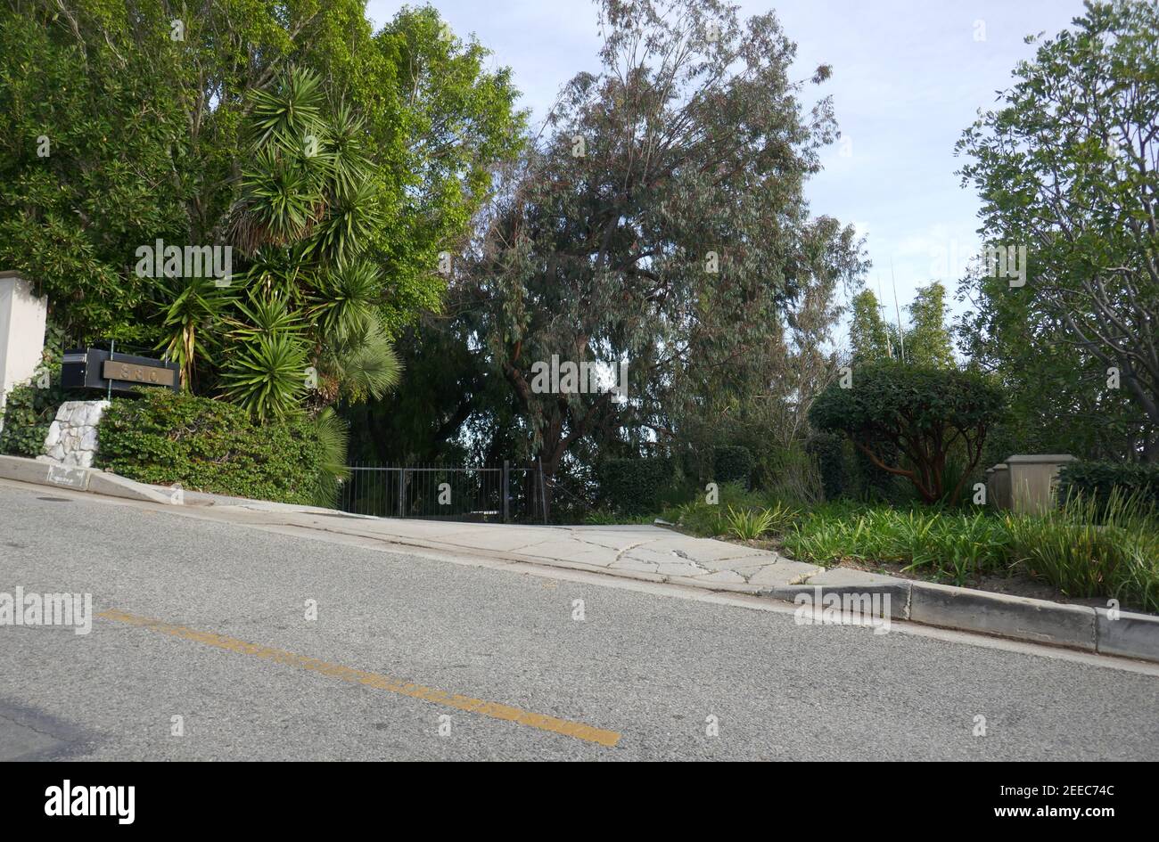 Linda flora hi-res stock photography and images - Alamy