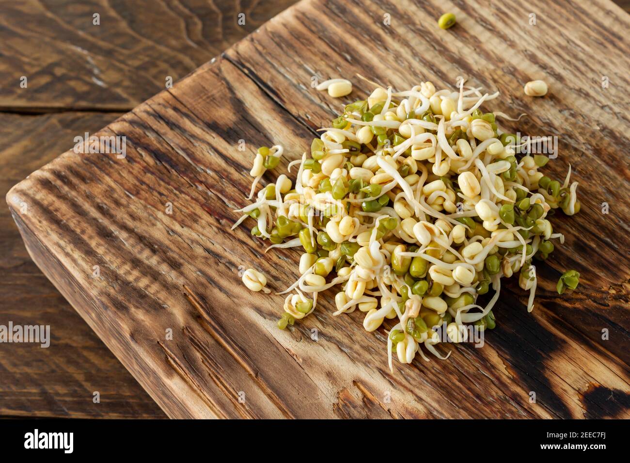 Germinated food. Sprouted beans in a plate on rustic wooden background ...