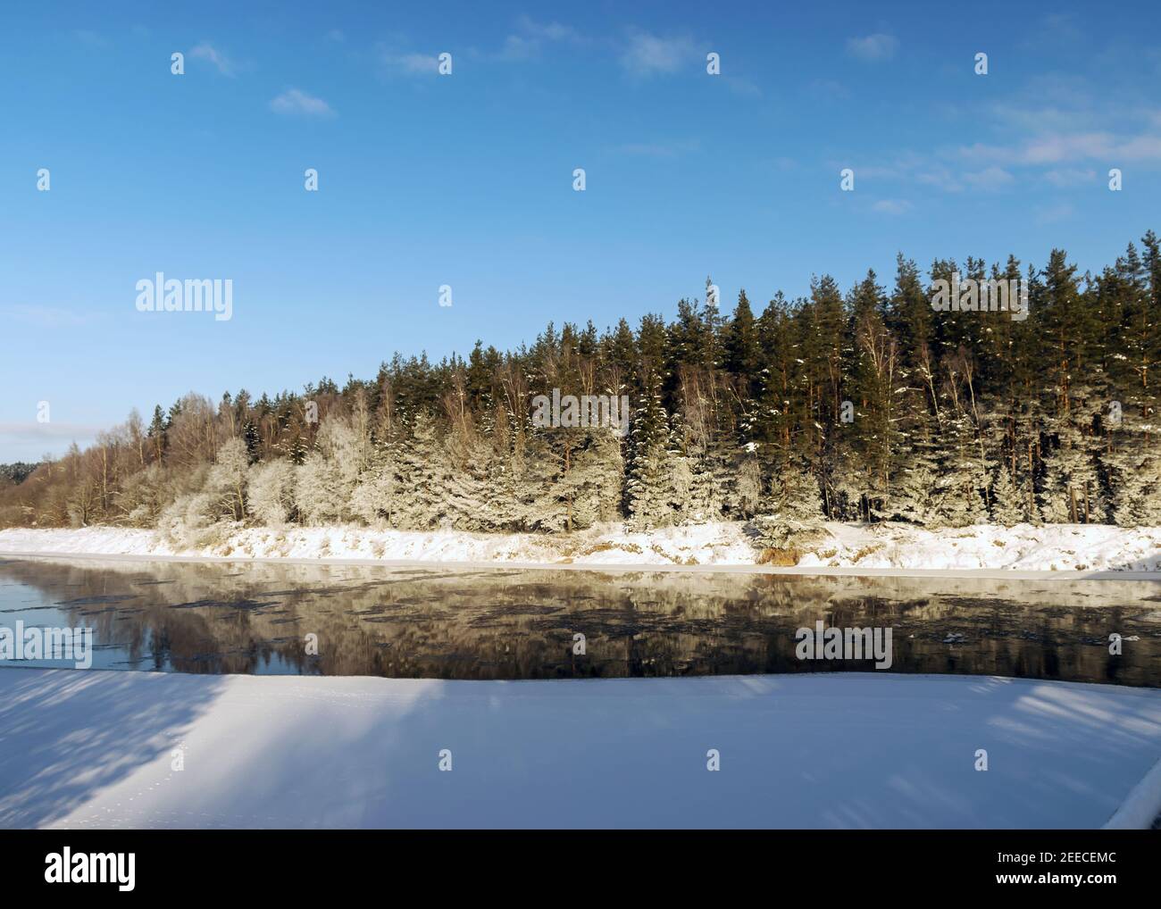 winter day by the river, snow covered trees and grass by the river ...