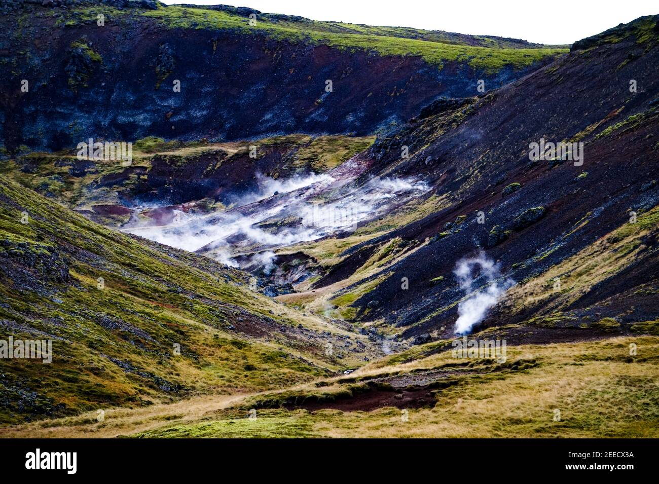 Thermal vents along Reykjadalur Valley in Iceland Stock Photo - Alamy