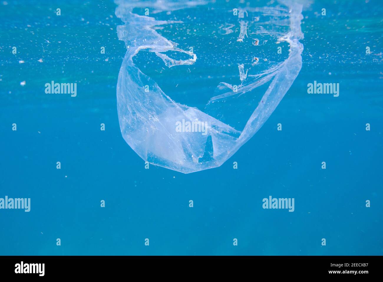 Plastic bag in blue sea. Garbage in sea underwater photo. Blue sea ...
