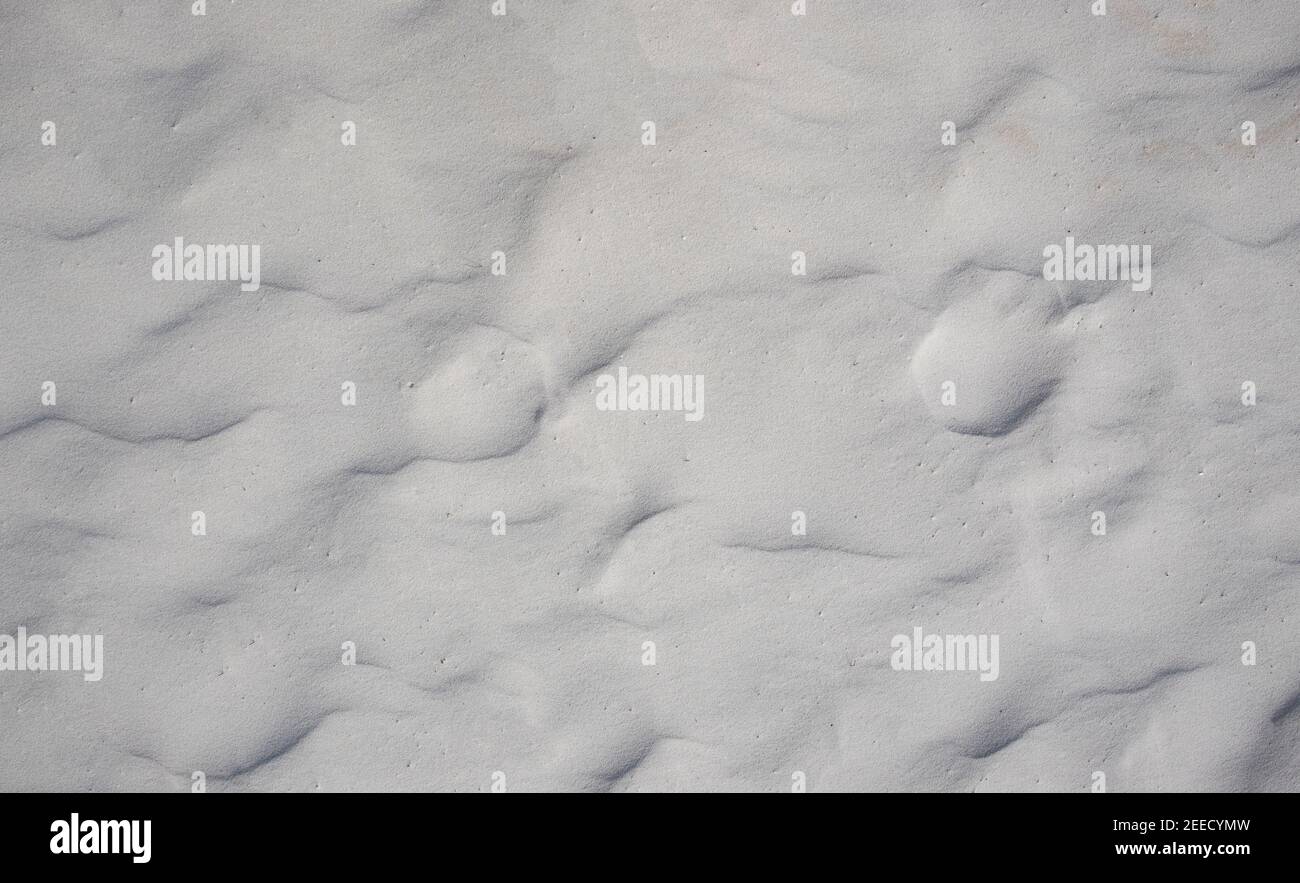 White sand banner. Seashore sand beach texture. Ocean coast top view ...