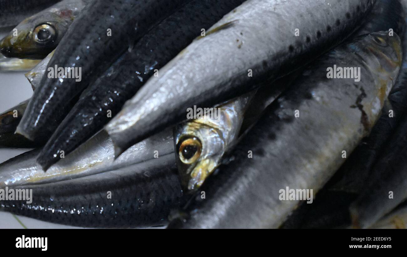 cleaned sardines in a pile with their tails and fins removed Stock ...