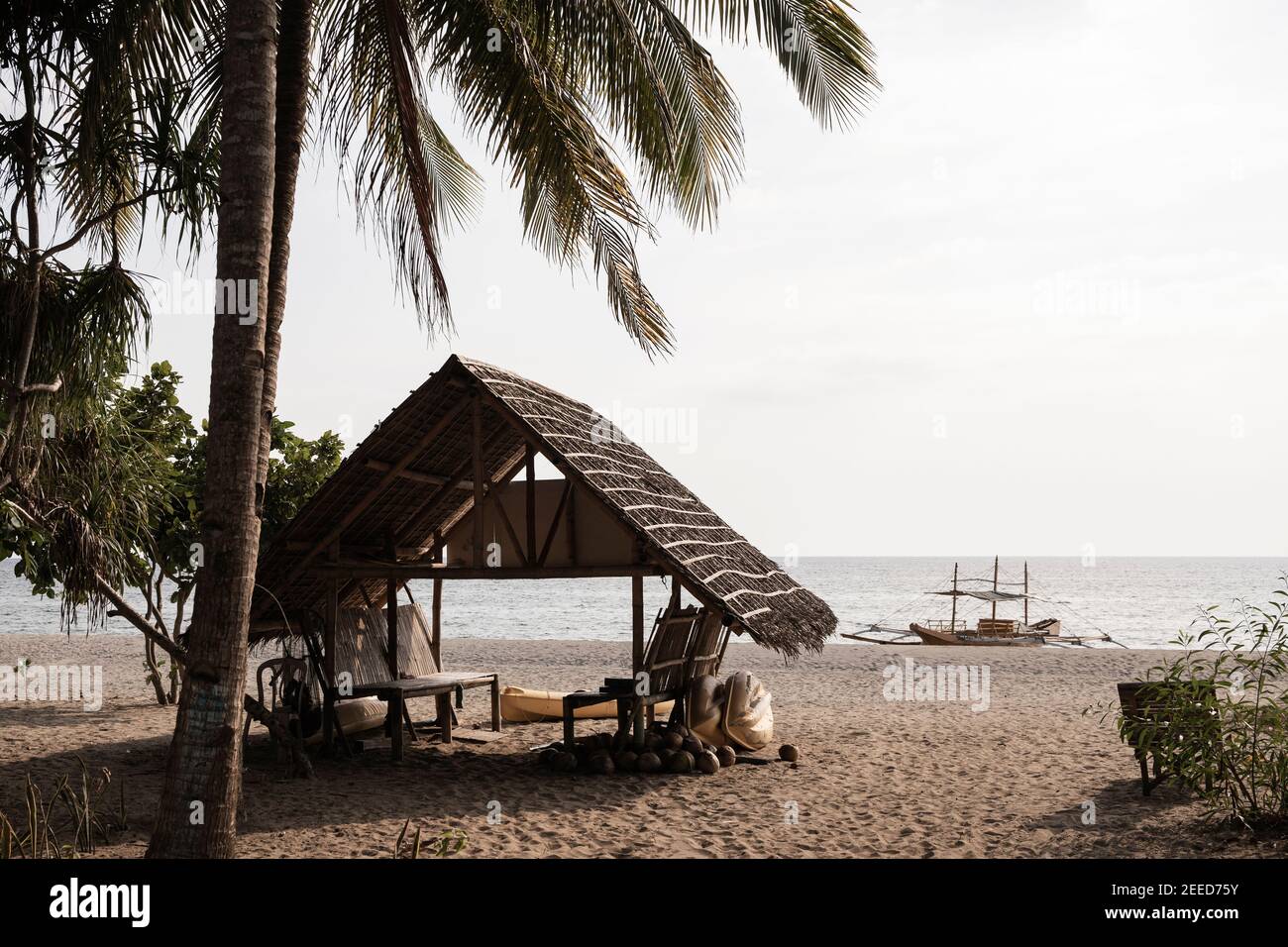 Coco palm tree and bamboo gazebo on the beach against white sky and sea ...