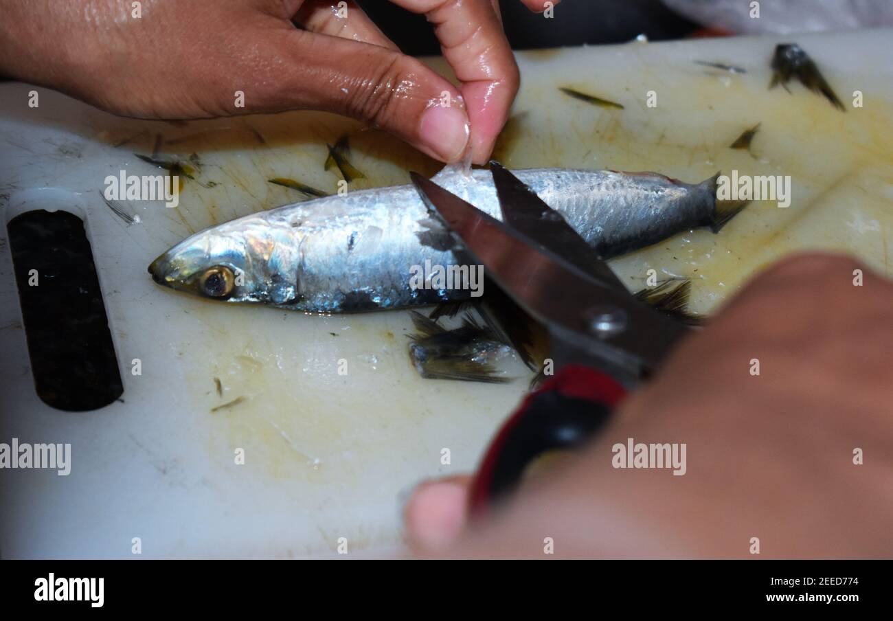 a sardine being cleaned (removing fins and tail) by hand using a ...