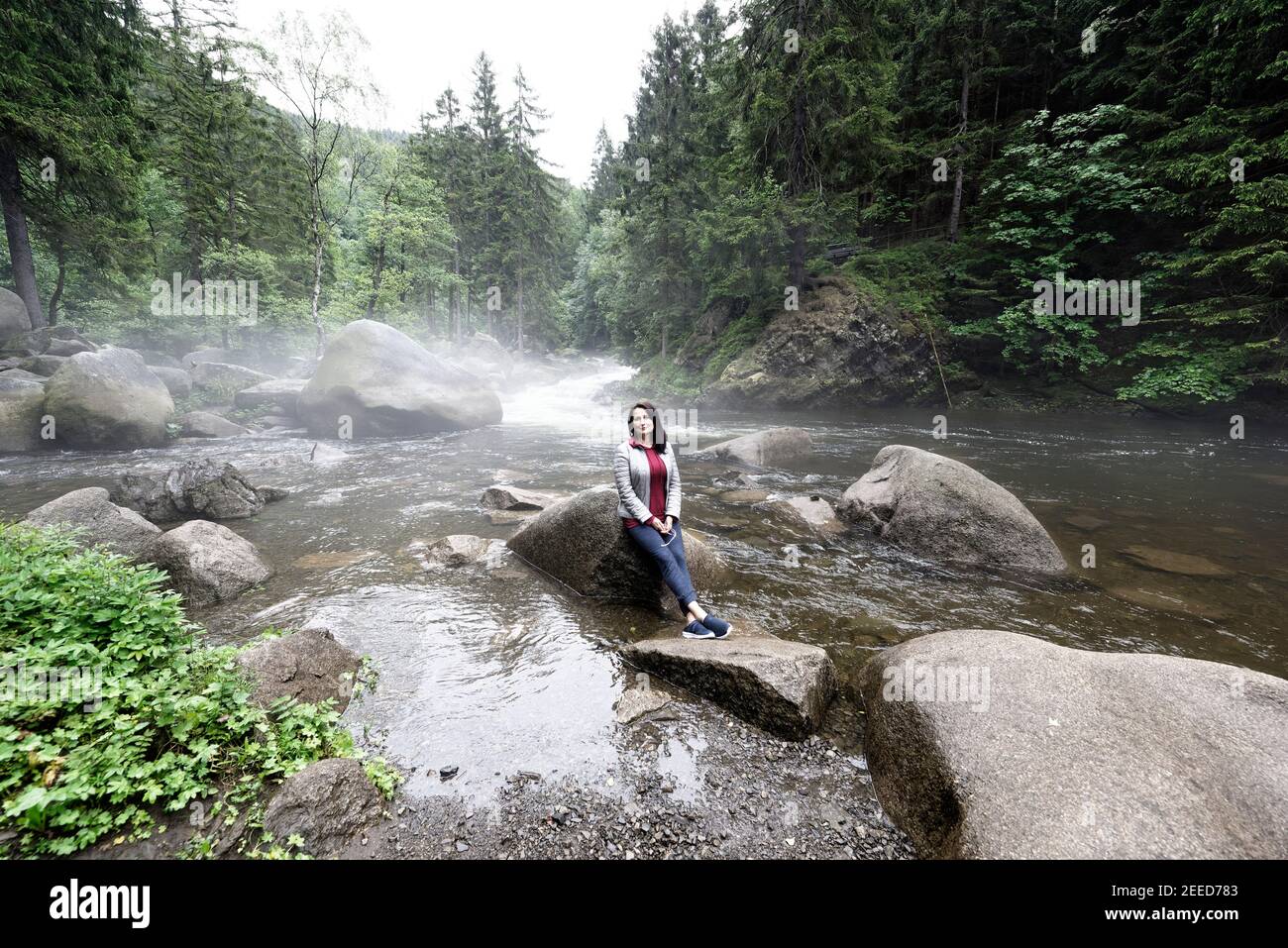 Verlobungsinsel in der Oker,Sachsen Anhalt Stock Photo - Alamy
