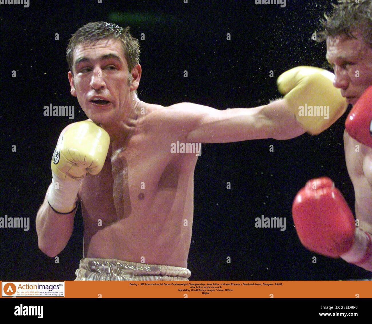 Ibf intercontinental super featherweight championship hi-res stock ...