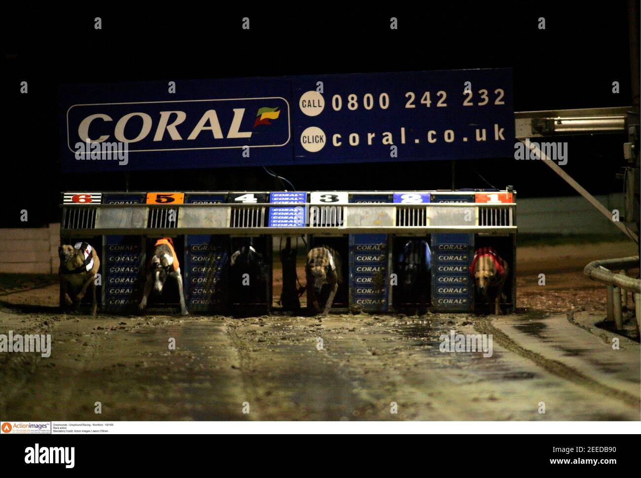 Romford greyhound racing hi-res stock photography and images - Alamy