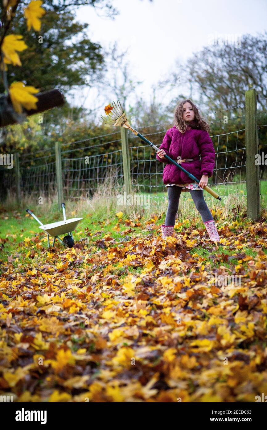 English girl play leaves hi-res stock photography and images - Alamy