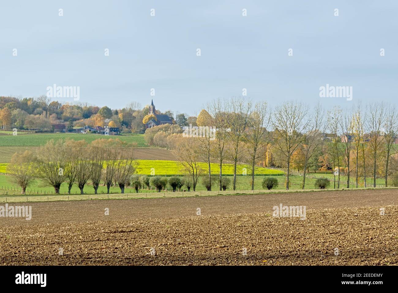 Belgium walking country field hi-res stock photography and images - Alamy
