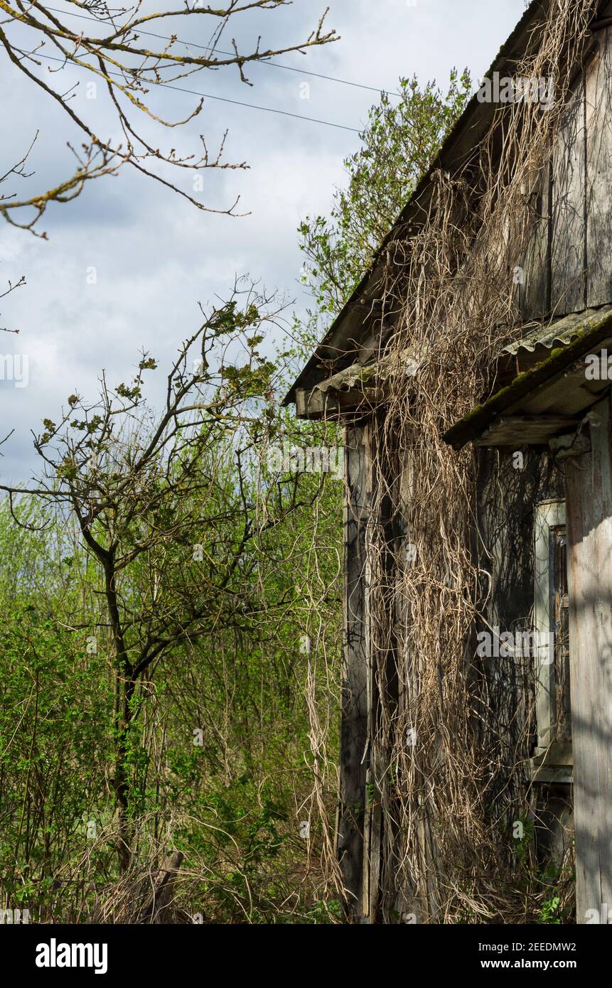 House without roof hi-res stock photography and images - Alamy