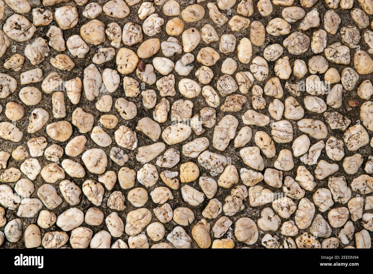 Grungy photo texture of pebble paving, top view background. White ...