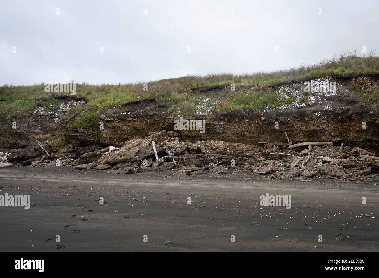 Maori beach new zealand hi-res stock photography and images - Alamy