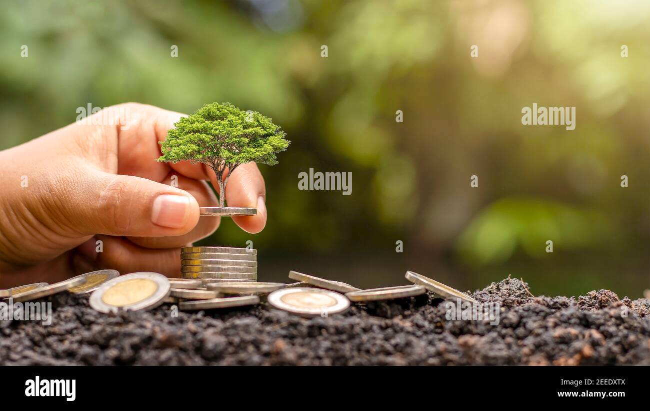 Grow concepts hi-res stock photography and images - Alamy