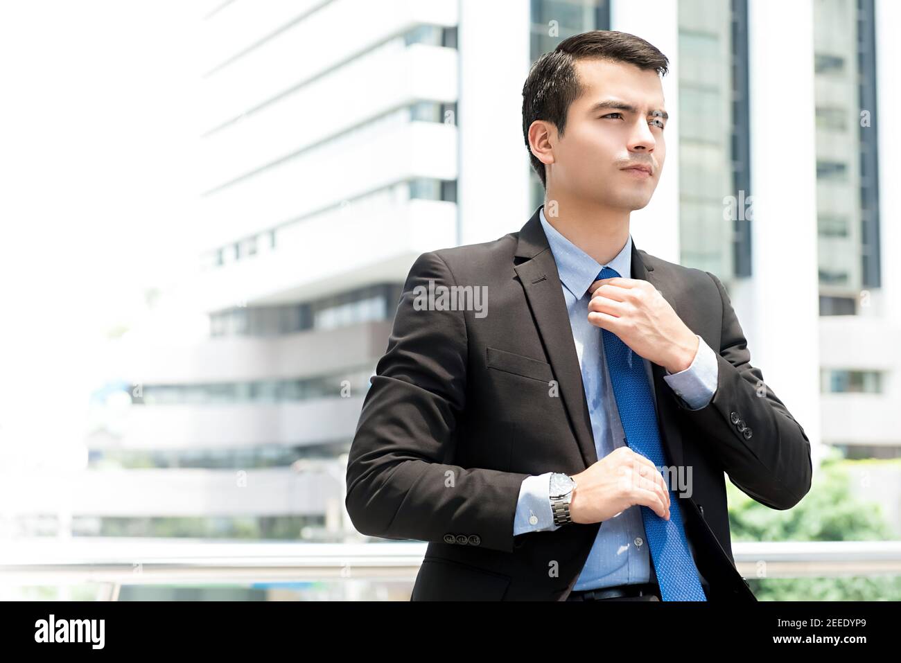 Young Businessman Fashion