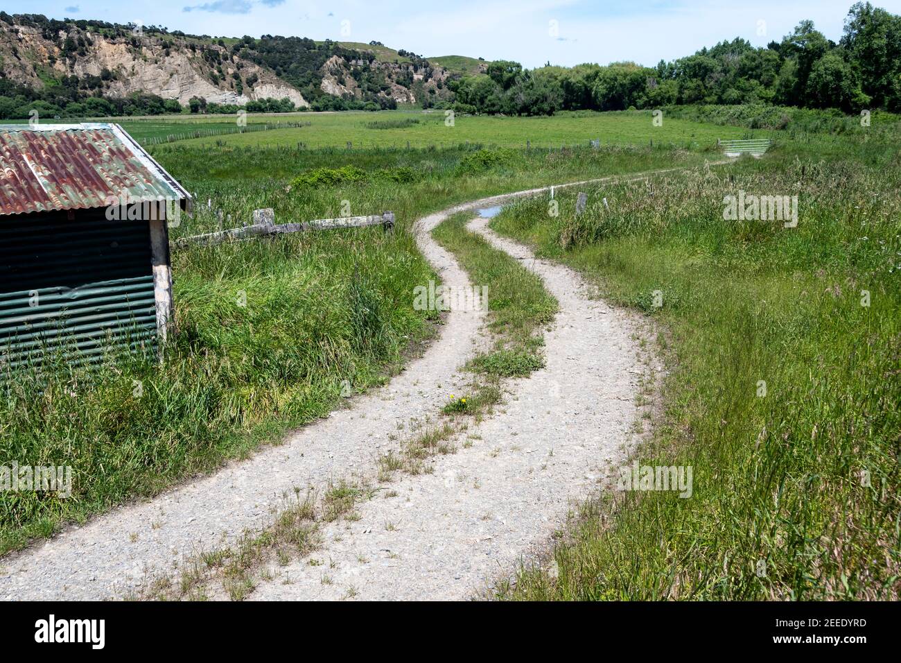 Farm track winding through fields, Gladstone, Wairarapa, North Island ...