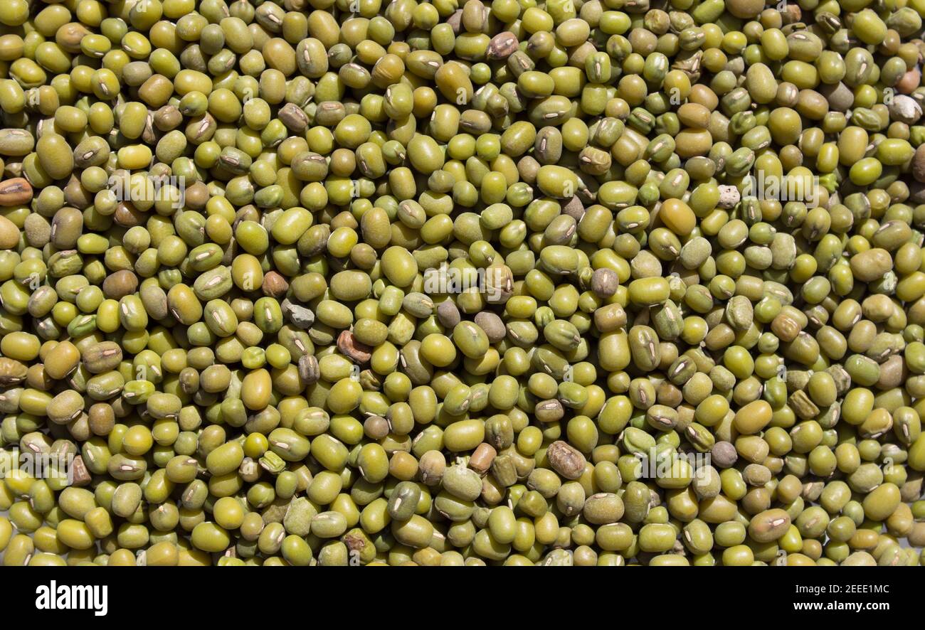 Green mung beans Stock Photo - Alamy