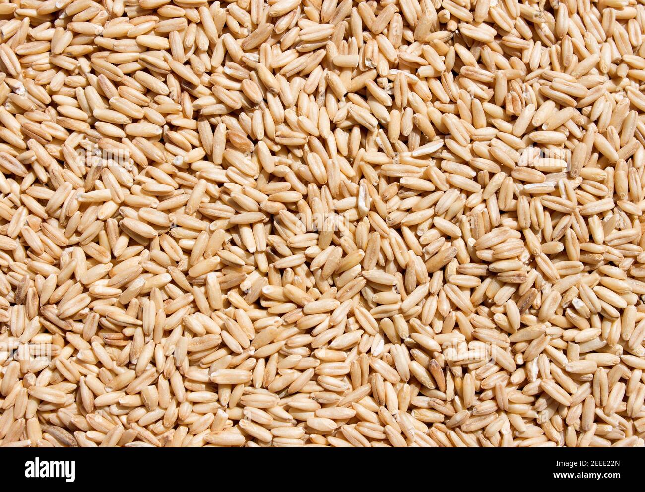 natural oat grains Stock Photo - Alamy