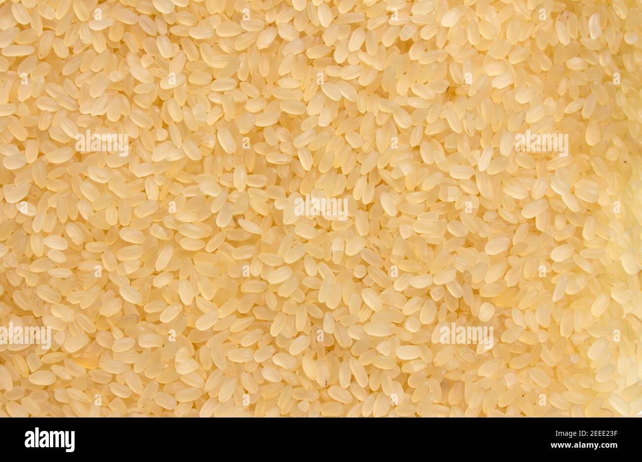 Uncooked white rice Stock Photo - Alamy