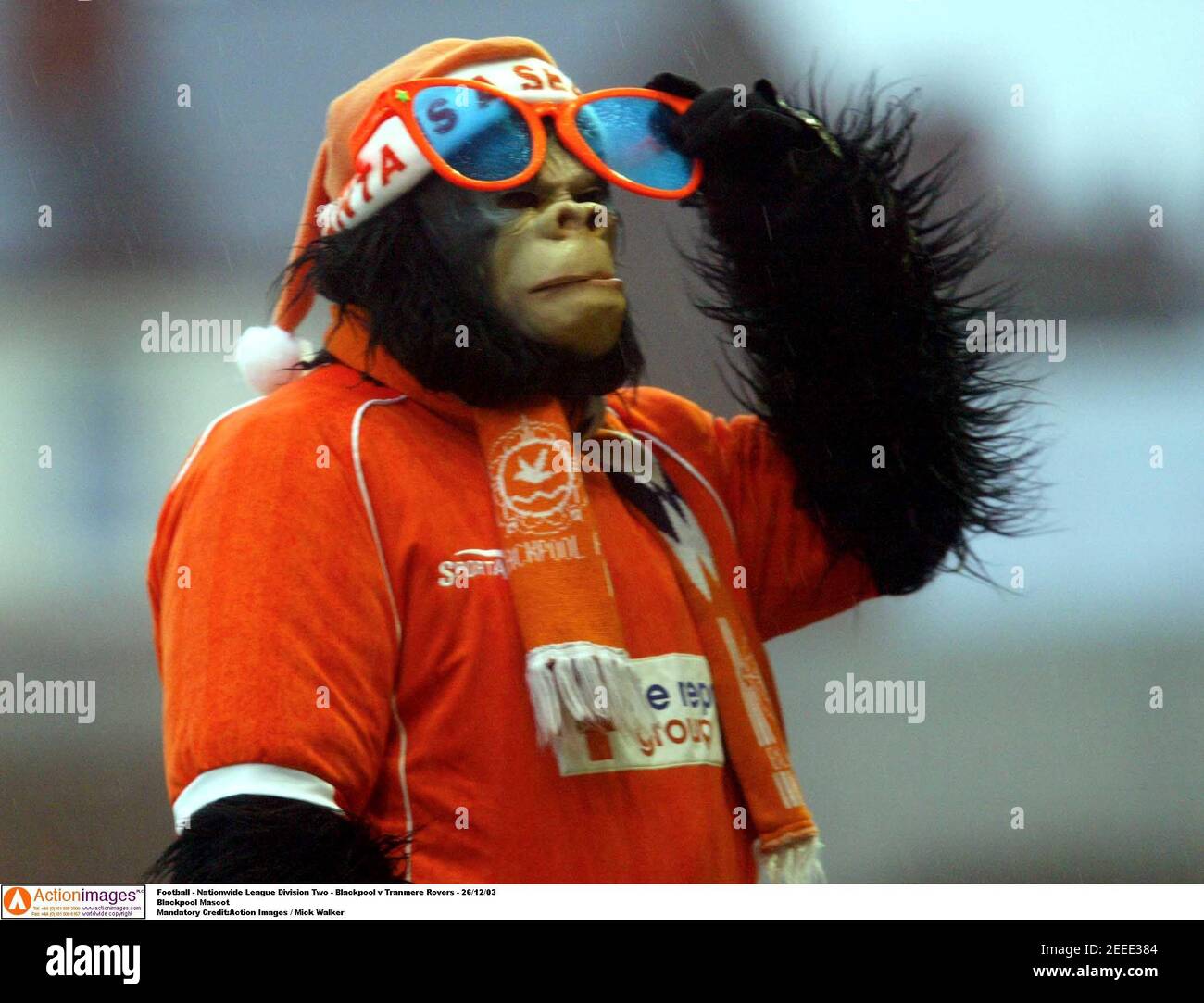 Gorilla walker hi-res stock photography and images - Alamy